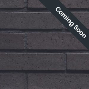 Tenley Brick™ from Cultured Stone® | CSI CA-EN