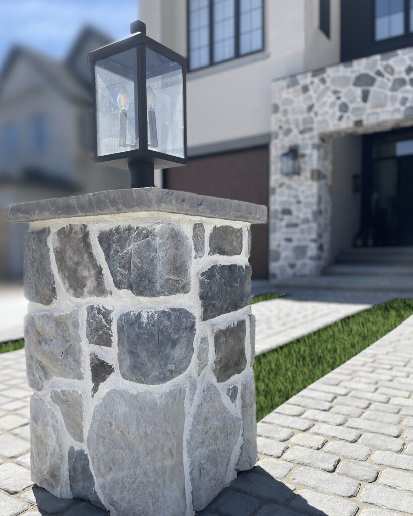 Elder Project | CSI CA-EN